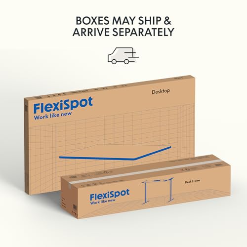 FLEXISPOT EN1 One-Piece Height Adjustable Desk 48 x 30 inch Electric Standing Desk, Stand Up Desk for Home Office (Silver Frame + 48" Natural Top, 2 Packages)