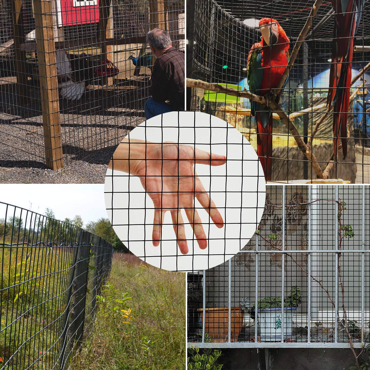 36'' x 50' 1inch Hardware Cloth 16 Gauge Black Vinyl Coated Welded Fence Mesh for Home and Garden Fence and Home Improvement Project (36'' x 50')