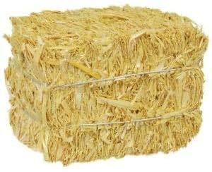 Fall Thanksgiving Harvest Mini Straw Hay Bale Sunni Sunflowers Natural Decorations Home Craft Display ~ Bundle of 4