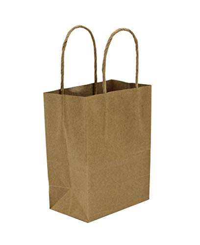 Creative Hobbies Small Kraft Paper Gift Handle Bags - Weddings, Favors, Goody Bags - Wholesale Pack of 25 Bags