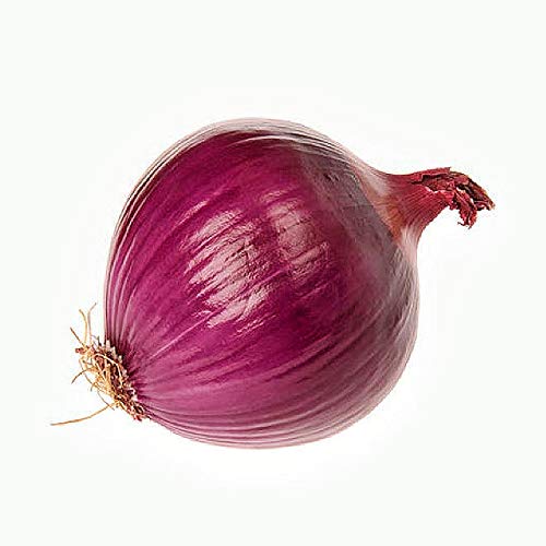 Kejora Fresh Red Pearl Onions 10 Ounce (Pack of 3)