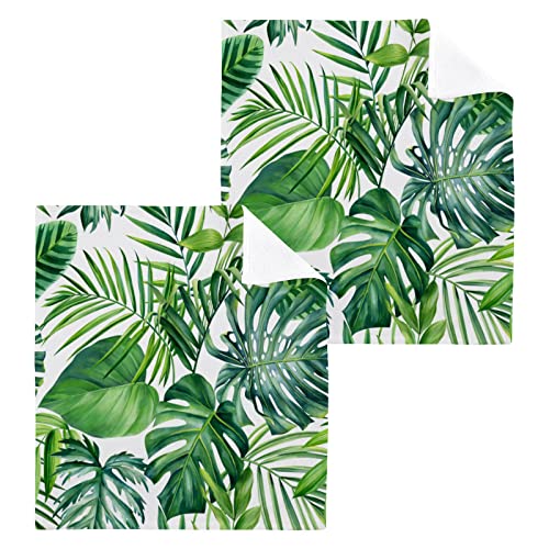 ALAZA Wash Cloth Set Tropical Palm Leaves(29c2) - Pack of 6, Cotton Face Cloths, Highly Absorbent and Soft Feel Fingertip Towels(238rh9a)