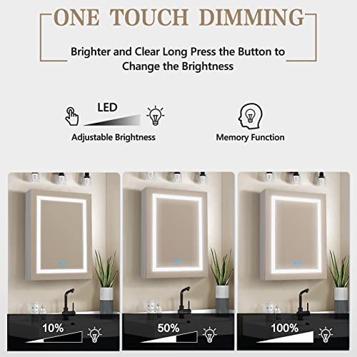 LALAHOO Lighted Medicine Cabinet for Bathroom with Mirror, 20" x 28" LED Bathroom Medicine Cabinet with Lights, Wall Mounted Medicine Cabinets with Storage Shelves, Dimmable Light, Anti-Fog