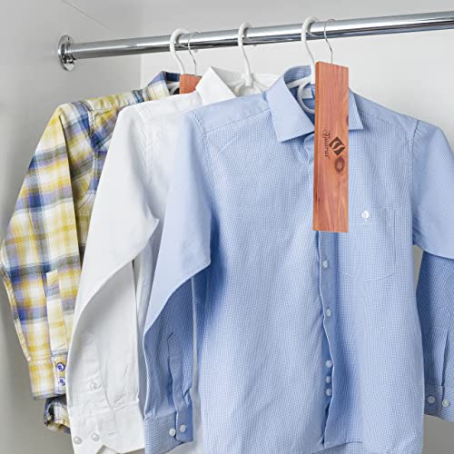 American Cedar Hang Ups, Cedar Blocks for Clothes Storage 10 Large Cedar Hangers & Cedar Balls, 2 Cedar Sachet, Cedar Planks with 100% Natural Fragrance Clothes Moth Protection & Moth Repellent