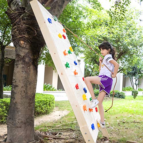 SEKKVY 25 Rock Climbing Holds with 6.56Ft Knotted Climbing Rope, Kids Climbing Holds for Indoor Outdoor Play Set, Rock Wall Climbing Kit with Mounting Hardware, Multi-Color
