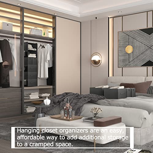 Bosuelife 6-Shelves Hanging Closet Organizer with 5 Different Drawers, Foldable Closet Organizers and Storage for Wardrobe, Closet& RV, Clothes and Accessories Storage, Non-Woven Fabric, Black
