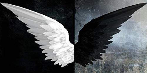 Full Drill Modern Angel Wings Feather Black & White Square Diamond Painting by Number Kits for Adults & Kids Crystal Rhinestone Cross Stitch Beautiful Picture for Wall Decor Gift 55x30cm