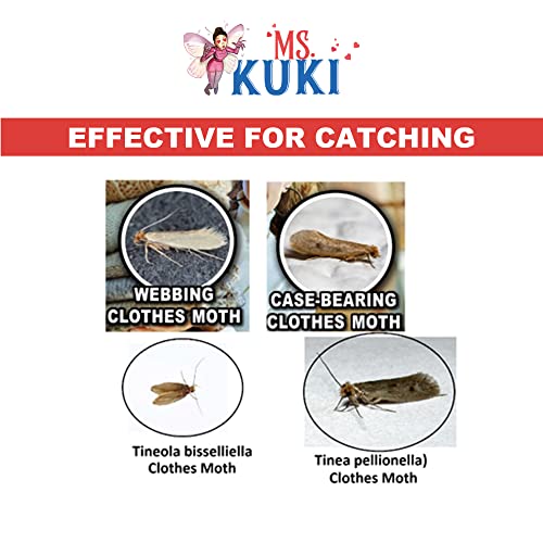 MS. KUKI Moth Traps for Clothes House Closet Home Clothing Indoor Storage Product Paper Cardboard Sticky Glue with Pheromones Prime No Pantry Kitchen Larder Storeroom Cooking Cellar Buttery (6 Pack)