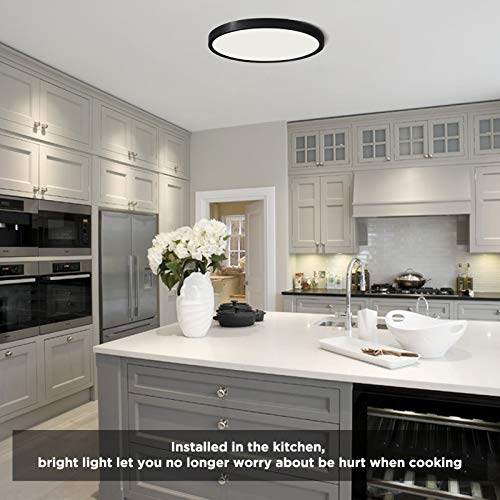 TALOYA 2 Pack LED Flush Mount Ceiling Light Black 5000K 8.9 Inch Round 18W=180W (Equivalent) Simple Lamp for Bedroom Hallway Low Ceilings Areas