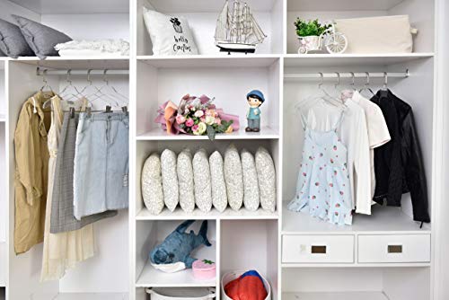 Quality Clear Acrylic Clothing Hangers β 5-Pack, Stylish Clothes Hanger with Silver Hooks - Coat Hanger for Dress, Suit - Closet Organizer Adult Hangers - Space Saving Cloth Hangers (Silver Hook, 5)