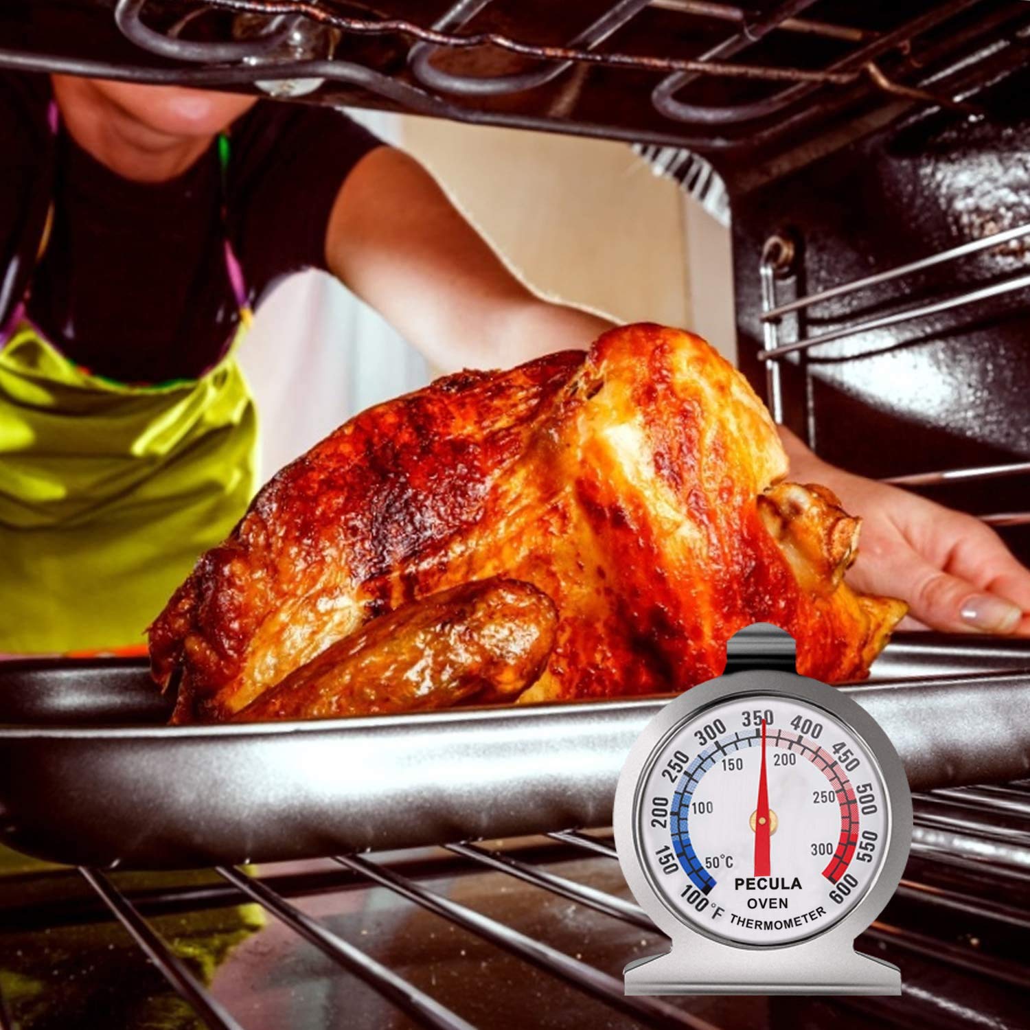Oven Thermometer 2 Pack 50-300°C/100-600°F, Oven Grill Fry Chef Smoker Thermometer Instant Read Stainless Steel Thermometer Kitchen Cooking Thermometer
