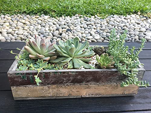 Wood Bathroom Decorative Storage Mason Jar Box, Toilet Paper Holder, Succulent Garden Planter, Diaper Organizer, Small Wooden Crate or Farmhouse Rustic Decor (Random)