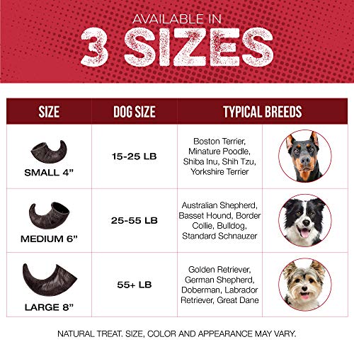 Water Buffalo Horn Dog Chew 4 Pack - Small 4" - All Natural Free Range Grass Fed Single Source Protein - No Chemicals, Additives, Hormones - Long Lasting, Good for Aggressive Chewers