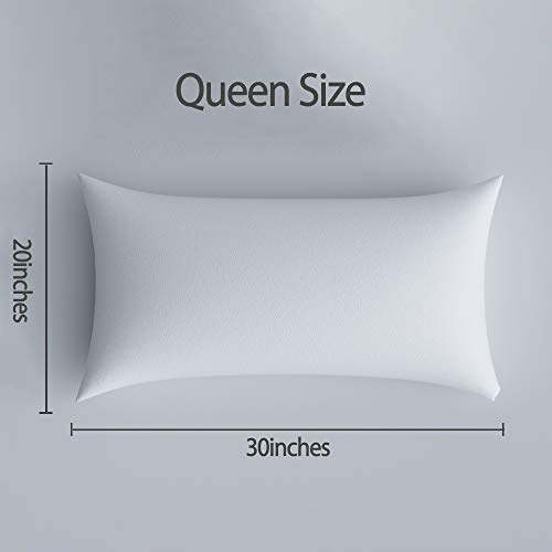 HAPPYMOON Pillowcases with Zipper Queen Size - Zippered Microfiber Pillow Cases for Hair and Skin 2 Pack, Soft Breathable Brushed Pillow Covers Set of 2, 20 X 30 Inches, Teal