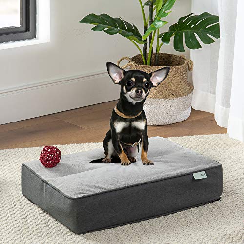 ZINUS Ultra Plush Green Tea Memory Foam Pillow Pet Bed, Waterproof Machine Washable Cover, Small