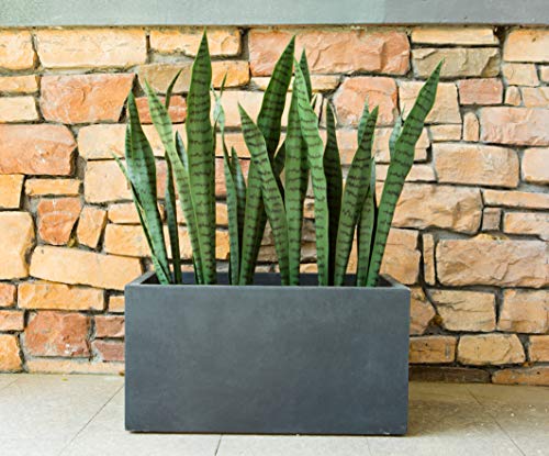 Kante 31.1" L Long Rectangular Concrete Planter, Large Outdoor Indoor Garden Pots with Drainage Hole and Rubber Plug, Charcoal