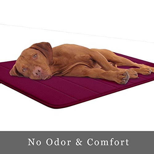 JMTOOR Memory Foam Bath Mat 17" X 24" Coral Velvet Super Non-Slip Rapid Water Absorption Soft and Comfortable Easier to Dry Machine Wash Bathroom Mat, Wine Red