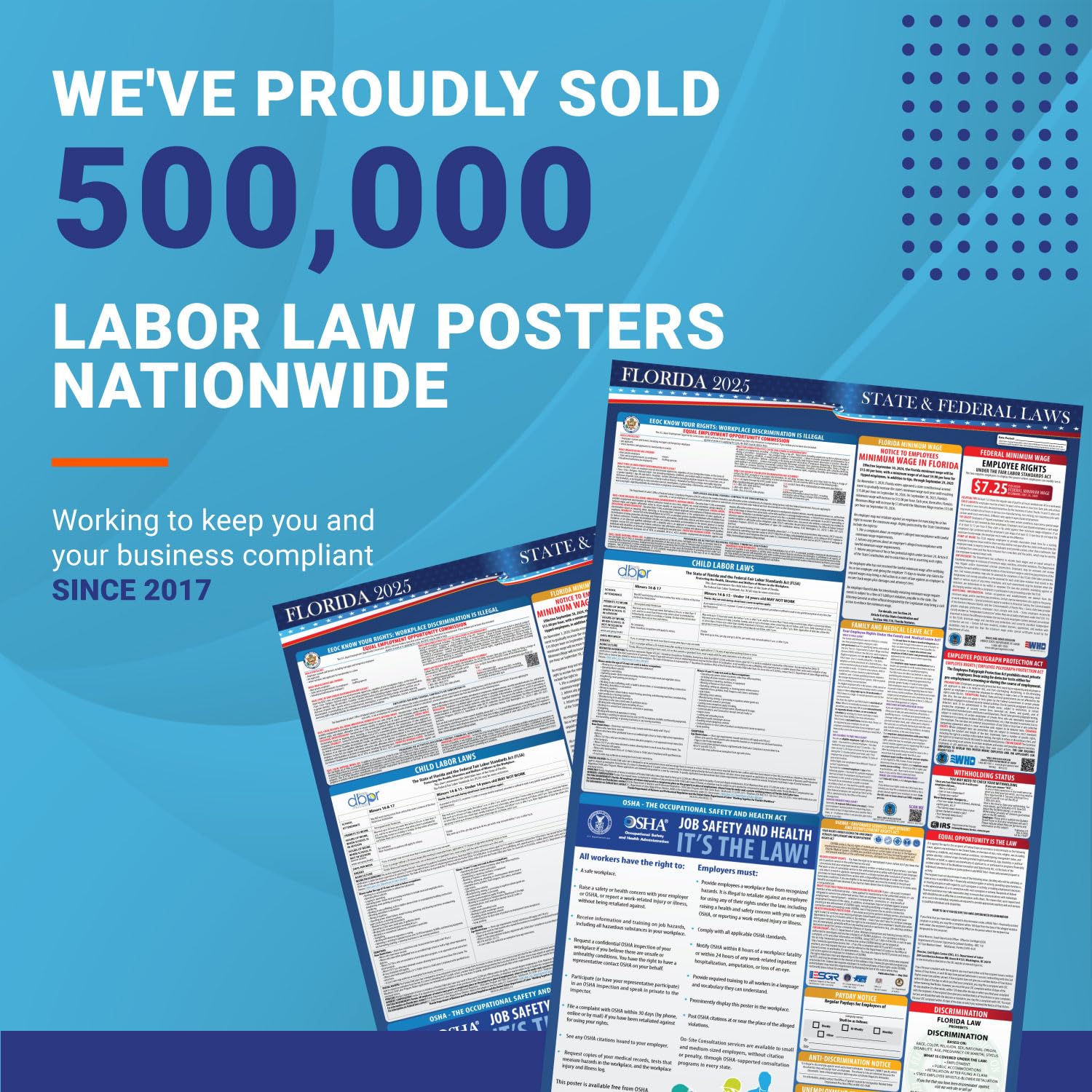 2025 Florida State and Federal Labor Law Poster - OSHA Workplace Compliant - Mandatory Regulations Posting for Employees - Required Compliance Posting 16" x 40" Laminated (1PACK)