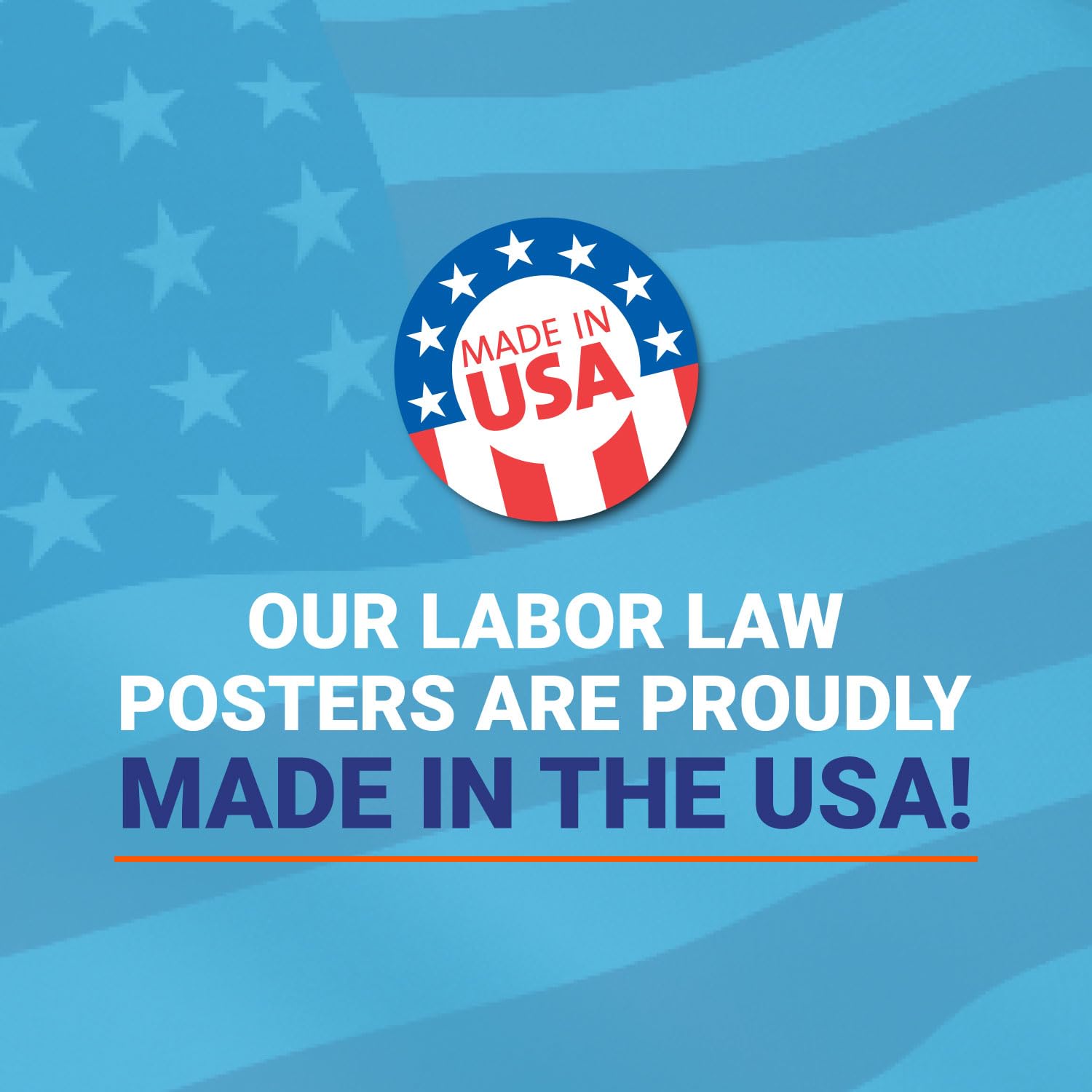 2025 Florida State and Federal Labor Law Poster - OSHA Workplace Compliant - Mandatory Regulations Posting for Employees - Required Compliance Posting 16" x 40" Laminated (1PACK)