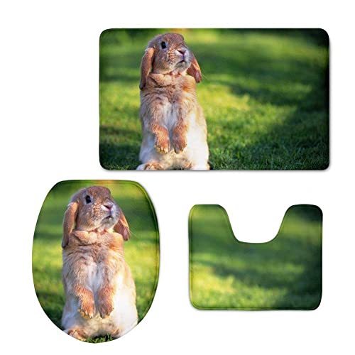 DIY Custom Bathroom 3 Piece Set Non Slip Toilet Pattern Toilet Seat Cover 3 Piece Set Bath Mat Bathroom Carpet，Bath Mat Sets 3 Piece Machine Washable