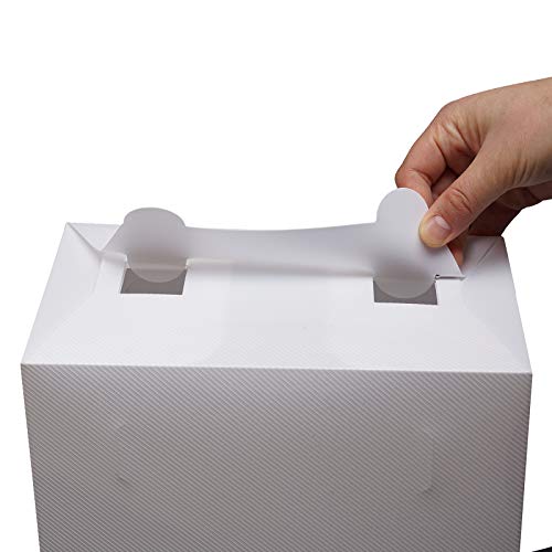 LOYALHEARTDY 20 PCS Shoe Storage Boxes Clamshell Clear Shoe Boxes Stackable Plastic Shoe Boxes with Lids Home Shoe Organizer For Sneaker Storage Foldable Shoe Sneaker Containers Easy Assembly