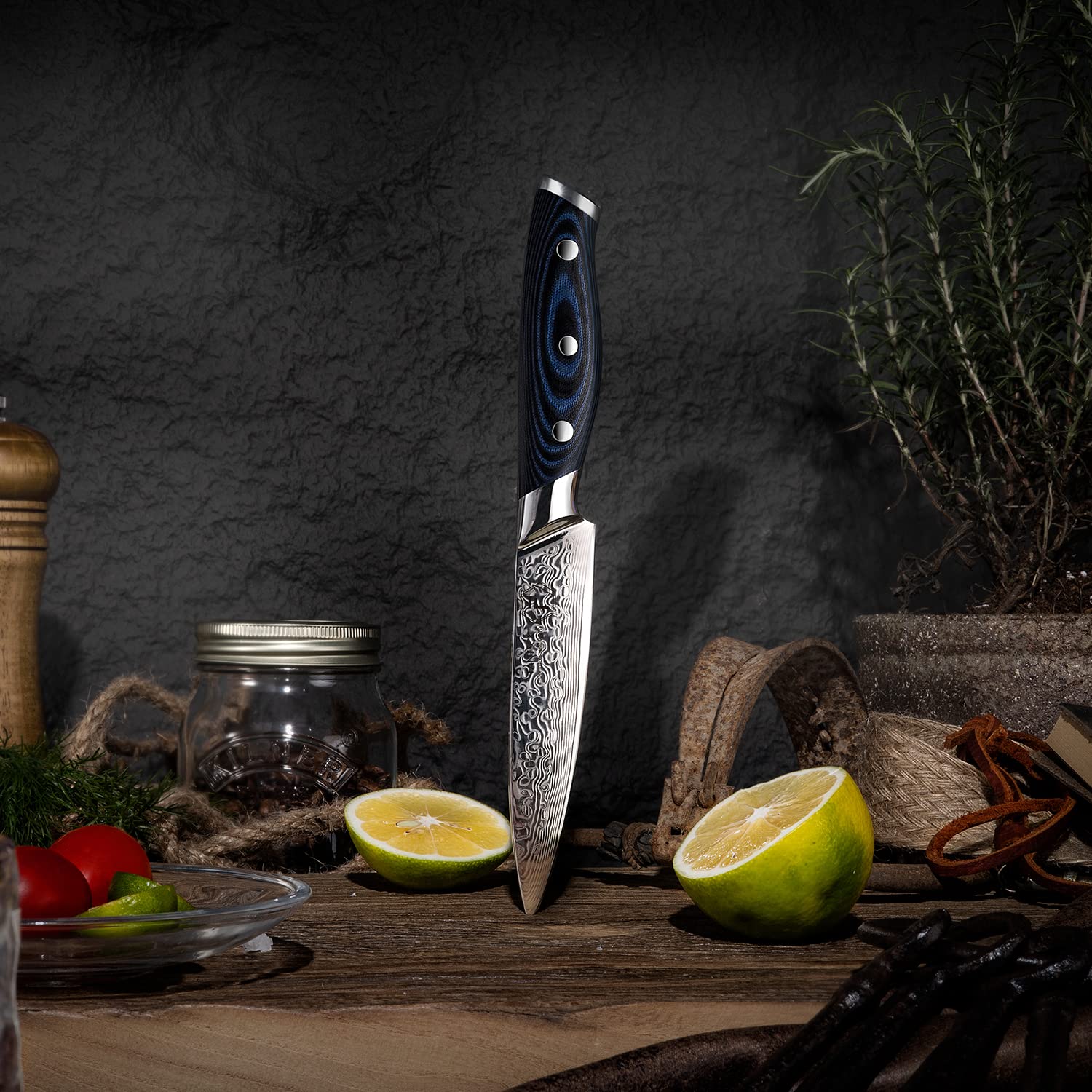 FANTECK 5 Inch Utility Knife, Japanese Damascus VG10 67 Layer Kitchen Fruit Paring Chef Utility Knives -Blue G10 Handle,-Razor Sharp, Stain & Corrosion Resistant, & Awesome Edge Retention