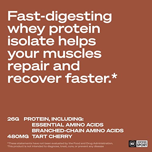LADDER Grass Fed Whey Protein Powder Packets, 26g Protein for Muscle Gain, 7g BCAAs, 14g EAAs, No Artificial Sweeteners, NSF Certified (Chocolate, Pack of 15)