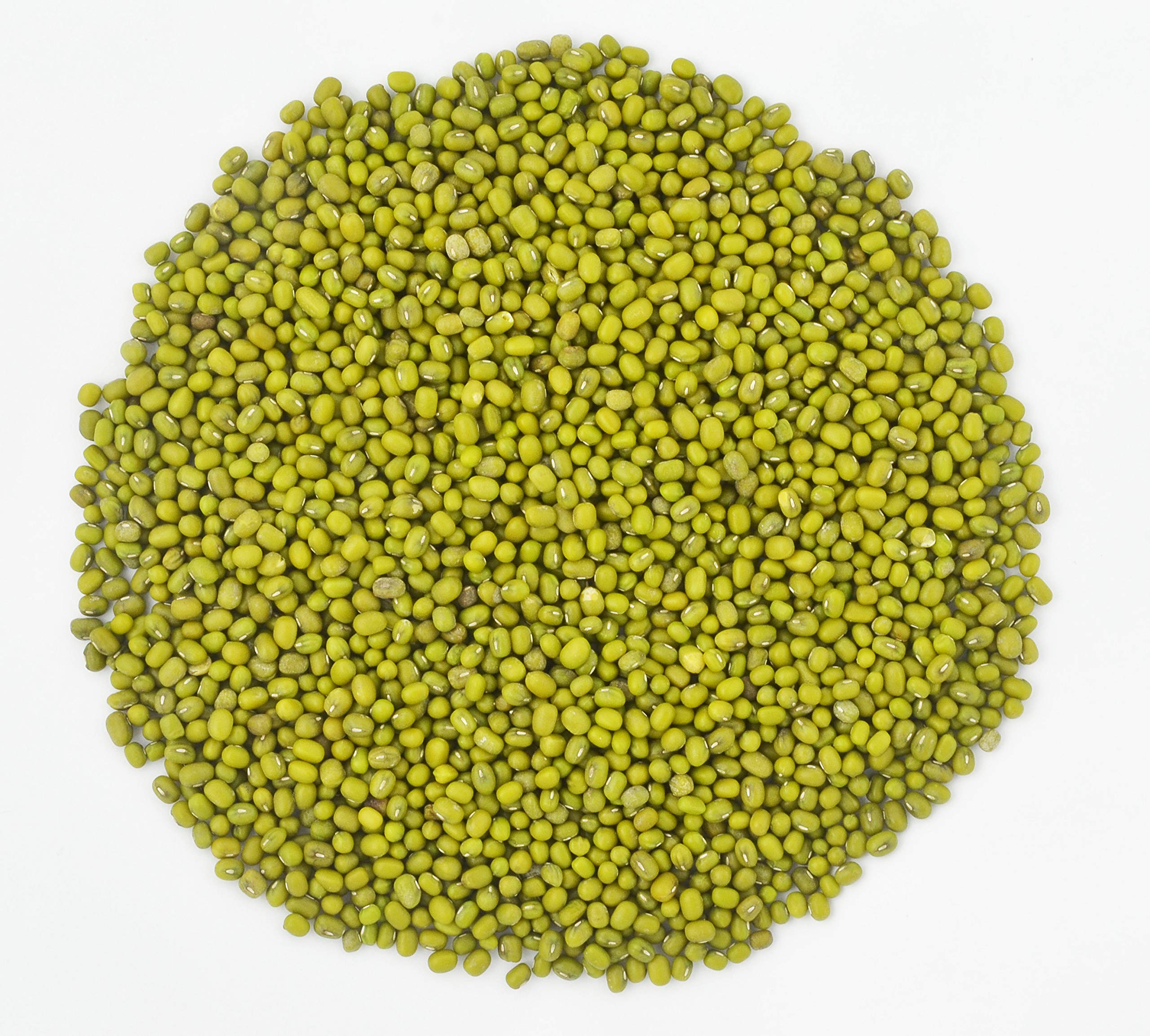 Whole dried Mung Beans aka 'Green Gram' 'Maash' 'Moong' Prewashed Clean Ready to Cook non GMO (Natural, 10 Pound)