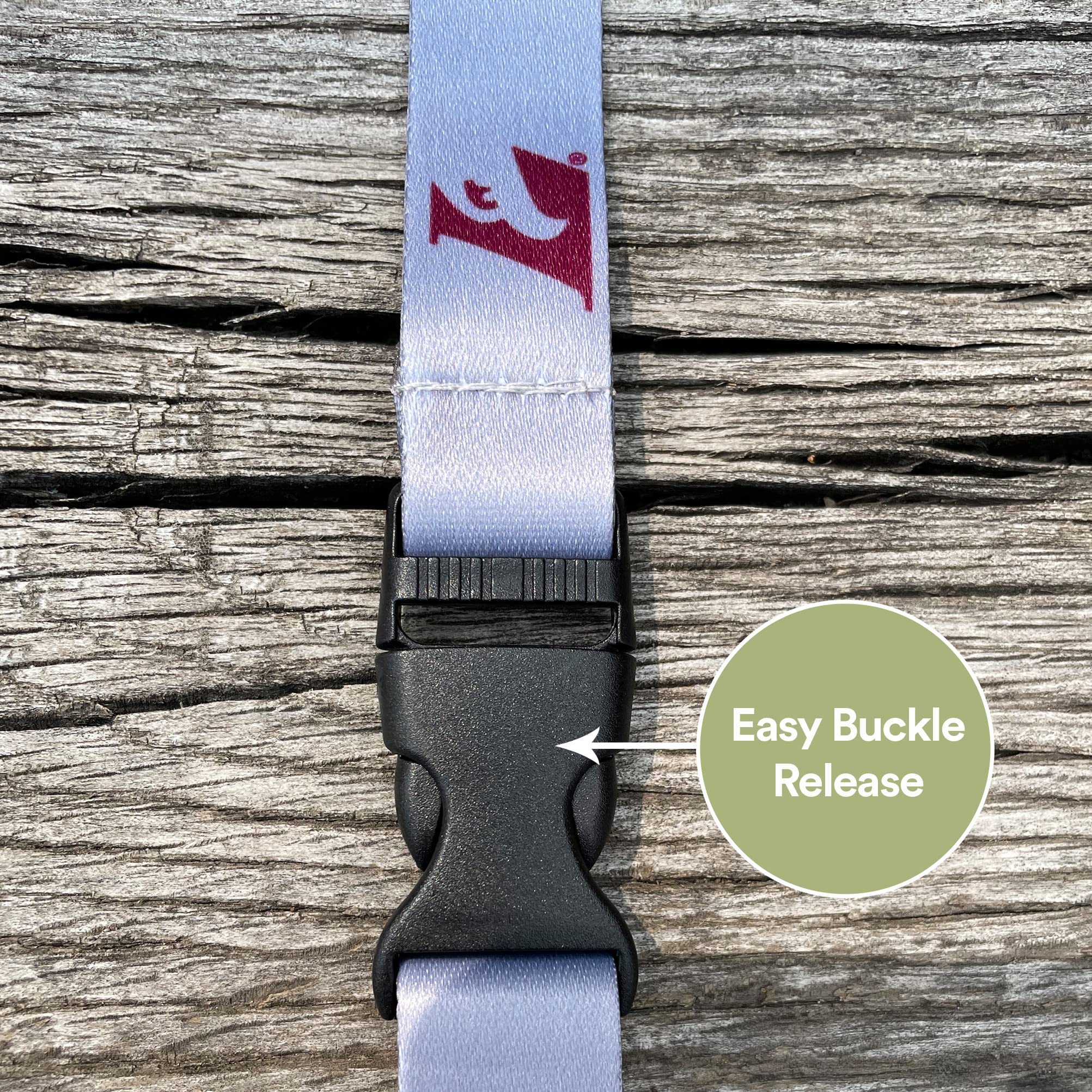 Desert Cactus University of Wisconsin La Crosse Lanyard UWLAX Eagles Car Keys ID Badge Holder Keychain Detachable Breakaway Snap Buckle (Gray)