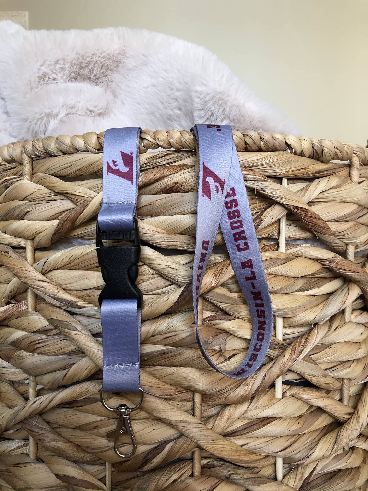 Desert Cactus University of Wisconsin La Crosse Lanyard UWLAX Eagles Car Keys ID Badge Holder Keychain Detachable Breakaway Snap Buckle (Gray)