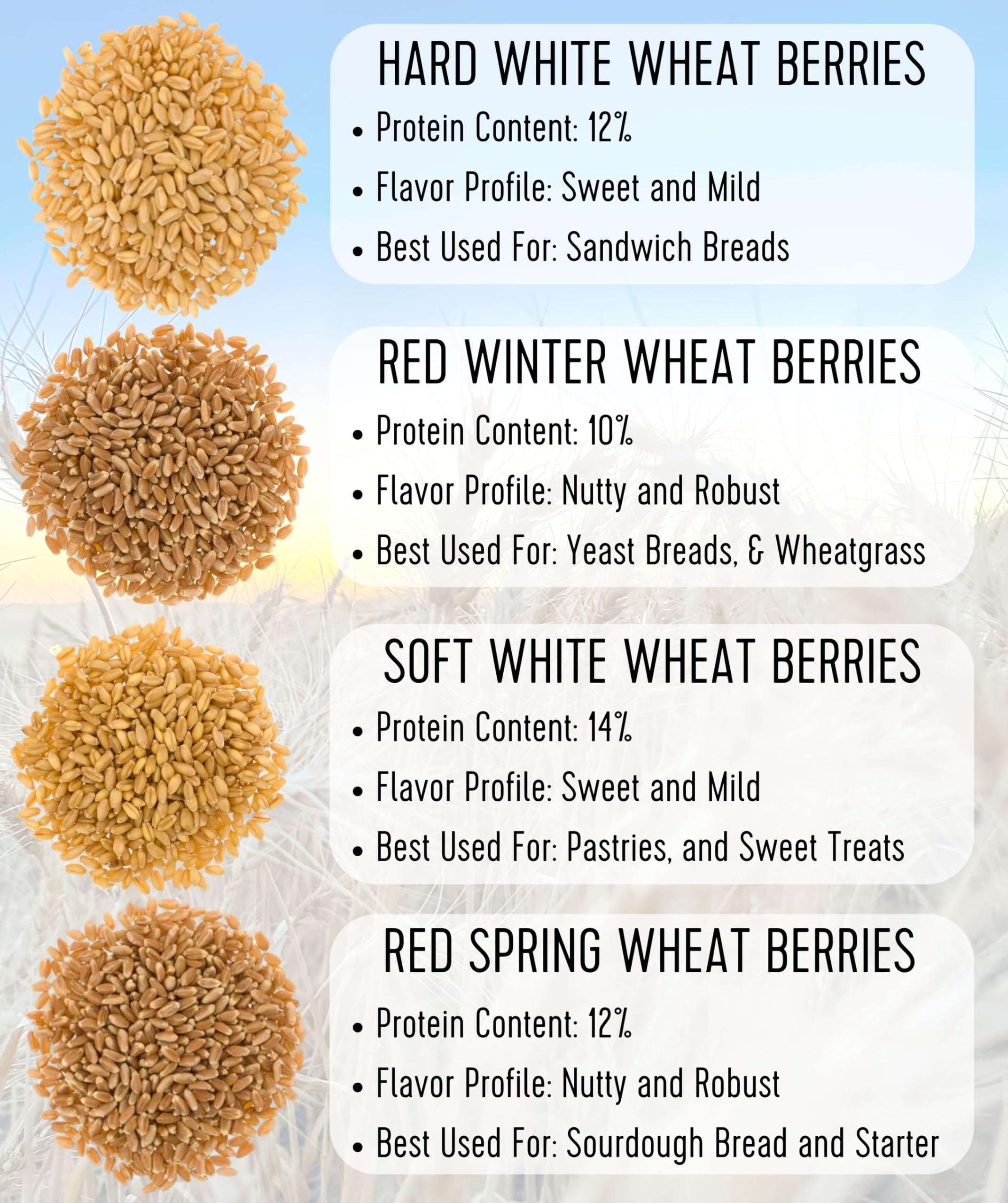 Hard White Wheat Berries | 3-4 LB Kraft Bags (12 LBS total) | Desiccant Free | Sproutable | Non-GMO Project Verified | Kosher