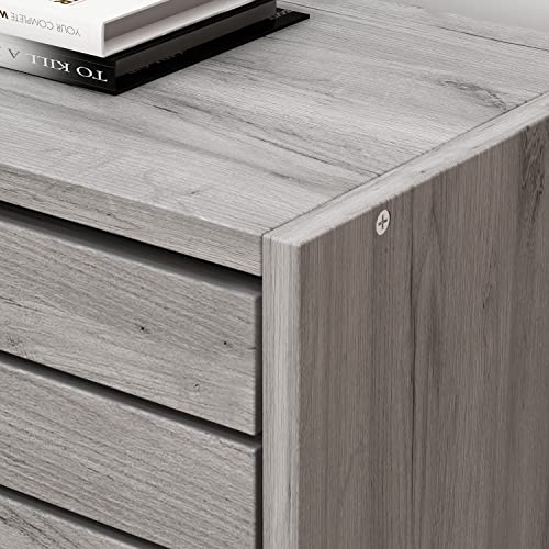 Homsee Modern Shoe Storage Cabinet with 2 Flip Drawers & Louver Doors, Wood 2-Tier Shoe Rack Storage Organizer for Entryway, Hallway & Bedroom, Grey (22.4”L x 9.4”W x 29.5”H)