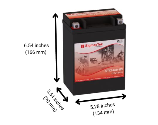 Yamaha 250CC YFM 250 Bear Tracker, 1999-2004 ATV Battery Replacement