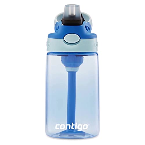 Contigo Kids Straw Water Bottle with AUTOSPOUT Lid, 14oz, Cotton Candy