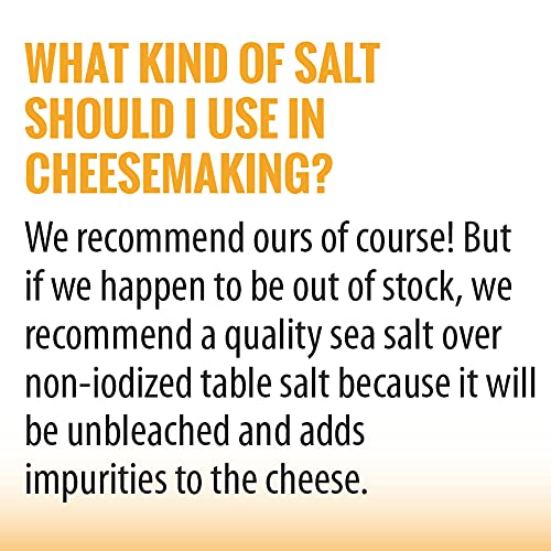 Cheese Sea Salt, Fine Sea Salt for Homemade Cheese Making, Gluten-Free and Non-Iodized Salt, Kosher Cheese Kit Essential Salt, 1 lb Shaker, Sea Salt Superstore