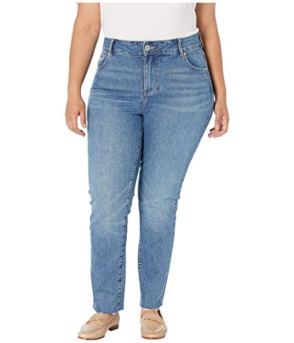 JAG Jeans Women's Plus Size Stella High Rise Straight Leg Jeans-Legacy, Hudson Blue, 20W