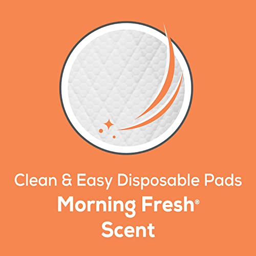 Purina Tidy Cats Breeze Litter System Cat Pad Refills, Breeze Morning Fresh Scent 10ct. Refill Pack - 10 Count (Pack of 1)