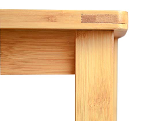 RANDEFURN Shower Bench 24'' Shower Chair with Shelf, Bathroom Bench,Shower Benches for InsideShower, Shoe Organizer or Entryway Bench 24x15x18.2 Inches