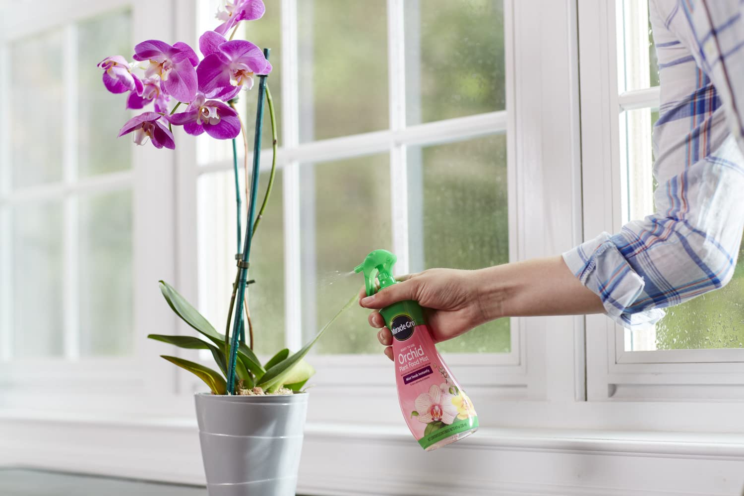 Miracle-Gro Ready-To-Use Orchid Plant Food Mist, 8 oz., Orchid Food Feeds Plants Instantly, 2-Pack