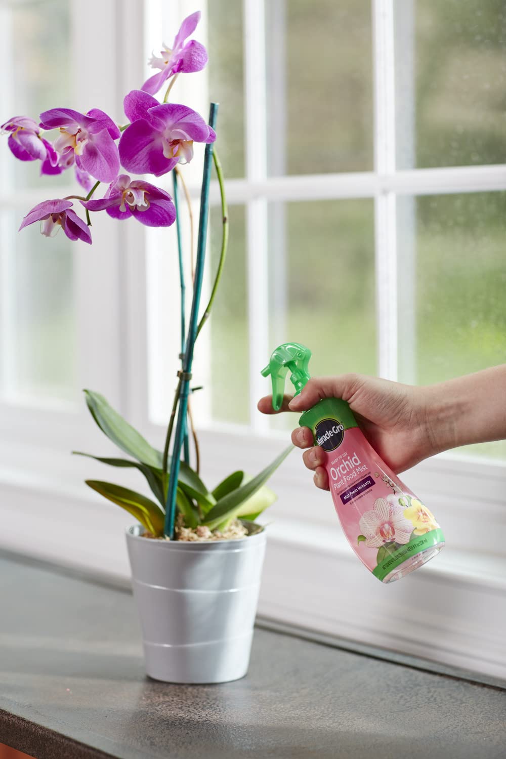 Miracle-Gro Ready-To-Use Orchid Plant Food Mist, 8 oz., Orchid Food Feeds Plants Instantly, 2-Pack