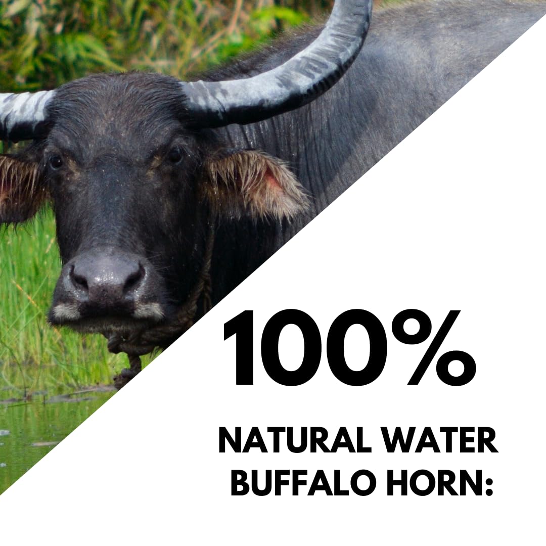 WhiteTail Naturals - Water Buffalo Horns for Dogs (Medium 3 Pack) All-Natural Dog Bone - Long Lasting Chew Bone for Aggressive Chewers and Teething Puppies