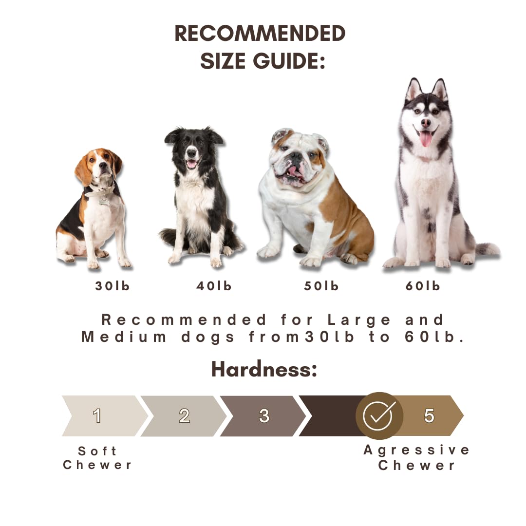 WhiteTail Naturals - Water Buffalo Horns for Dogs (Medium 3 Pack) All-Natural Dog Bone - Long Lasting Chew Bone for Aggressive Chewers and Teething Puppies