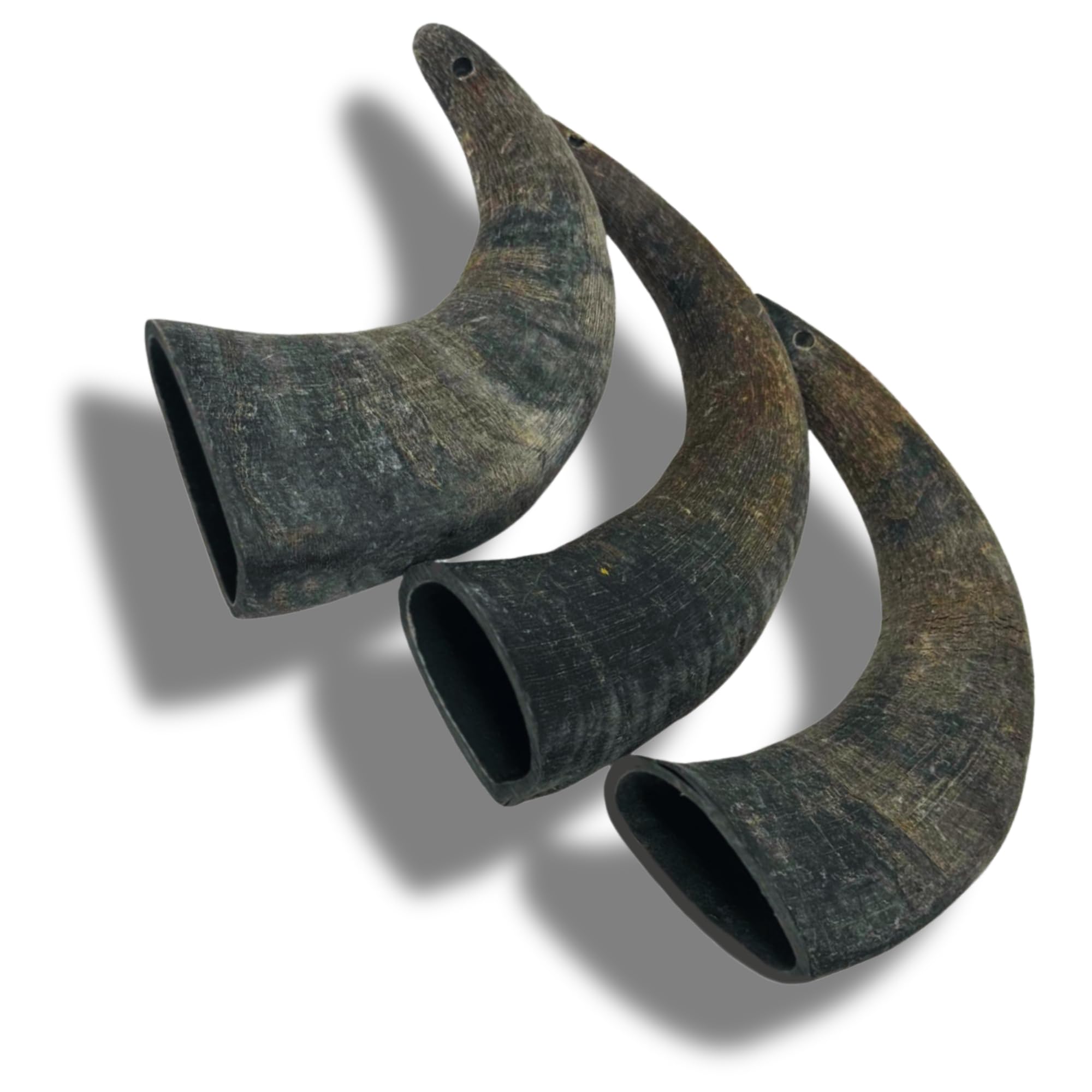 WhiteTail Naturals - Water Buffalo Horns for Dogs (Medium 3 Pack) All-Natural Dog Bone - Long Lasting Chew Bone for Aggressive Chewers and Teething Puppies