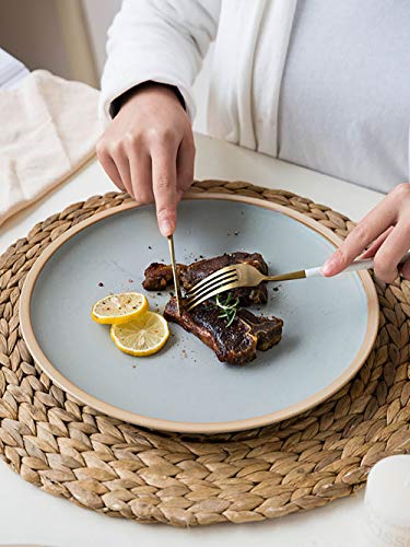 MDZF SWEET HOME 10.4-Inch Porcelain Dinner Plates Set, Pasta Serving Plates Matte Glaze Dessert Dishes - Set of 4