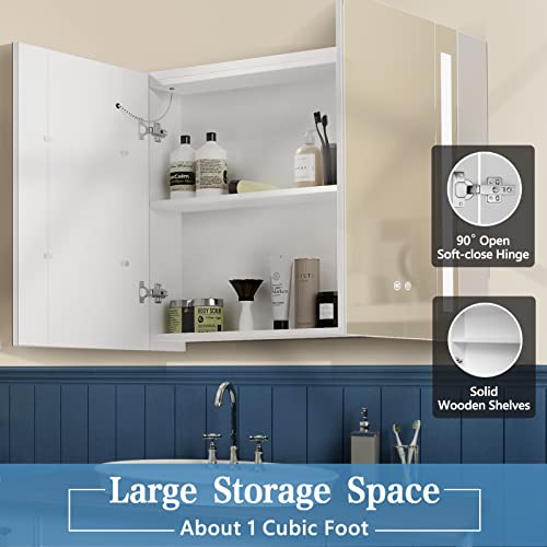 LALAHOO Medicine Cabinets for Bathroom with Mirror, 22" x 30" LED Bathroom Medicine Cabinet with Mirror, Double Doors Medicine Cabinet with Storage Shelves, Dimmable Light