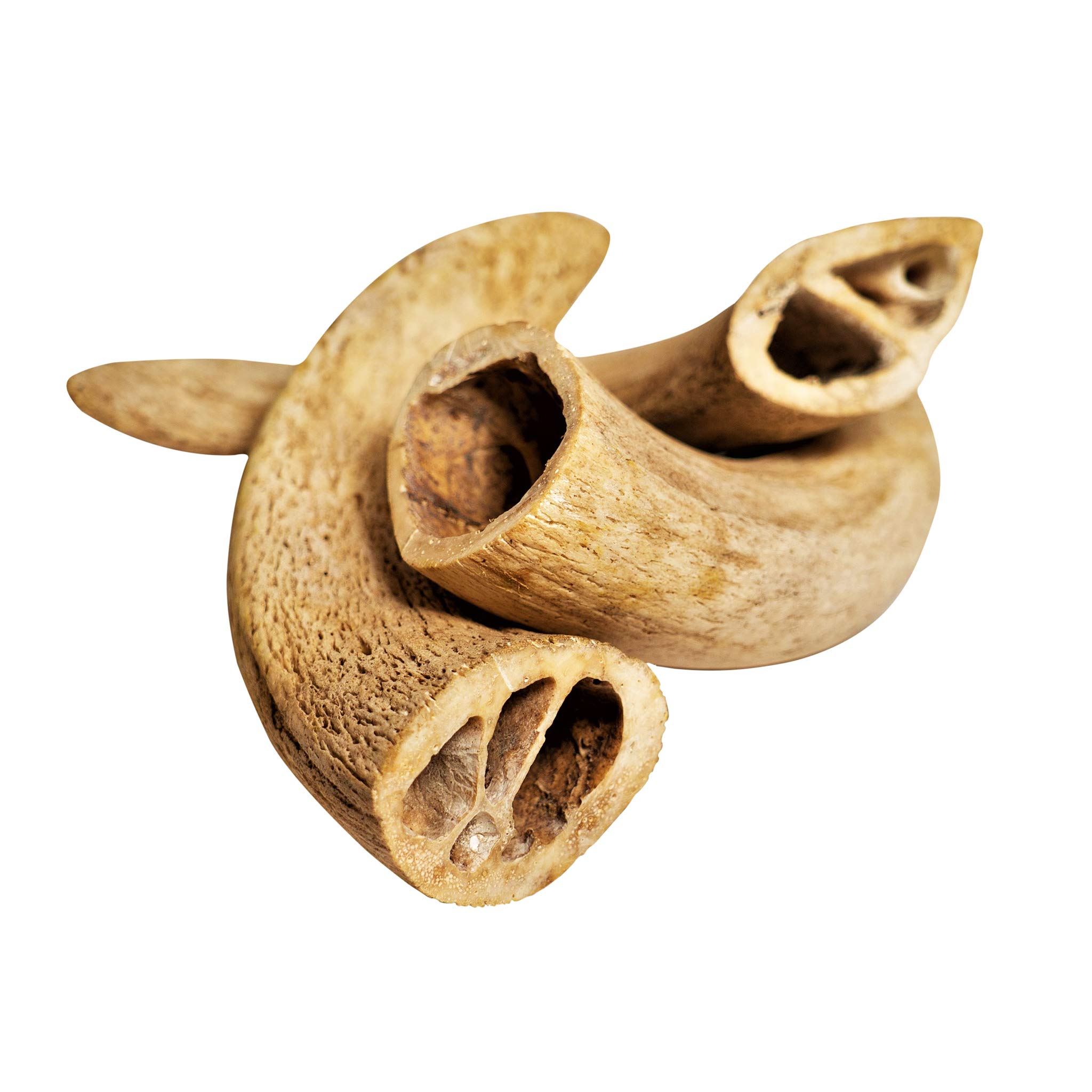 Rozie’s Naturals Water Buffalo Horn Core- Inner Component of Buffalo Horn, Durable Chew, Great Alternative to Raw-Hide & Hard Antler Dog Chew, Large -2 Pack, 10 oz