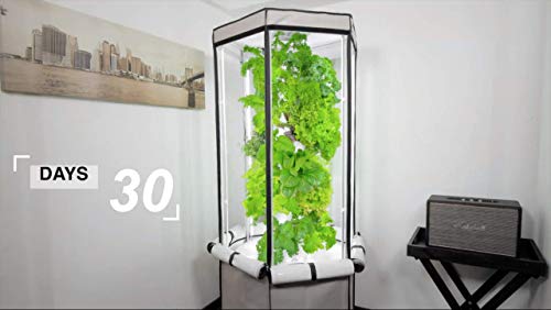 Aerospring Indoor Hydroponic Growing System 2.0 – Grow 27 Lettuce, Vegetable, Herb & Fruiting Plants | Includes Grow Tent, 150W LED Grow Lights, Fan & Wheels for Indoor Gardening