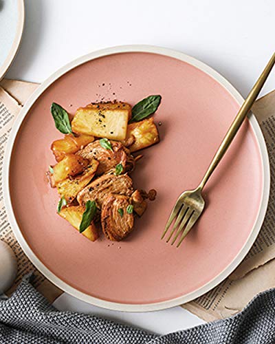 MDZF SWEET HOME 10.4-Inch Porcelain Dinner Plates Set, Pasta Serving Plates Matte Glaze Dessert Dishes - Set of 4