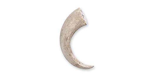 Rozie’s Naturals Water Buffalo Horn Core- Inner Component of Buffalo Horn, Durable Chew, Great Alternative to Raw-Hide & Hard Antler Dog Chew, Large -2 Pack, 10 oz