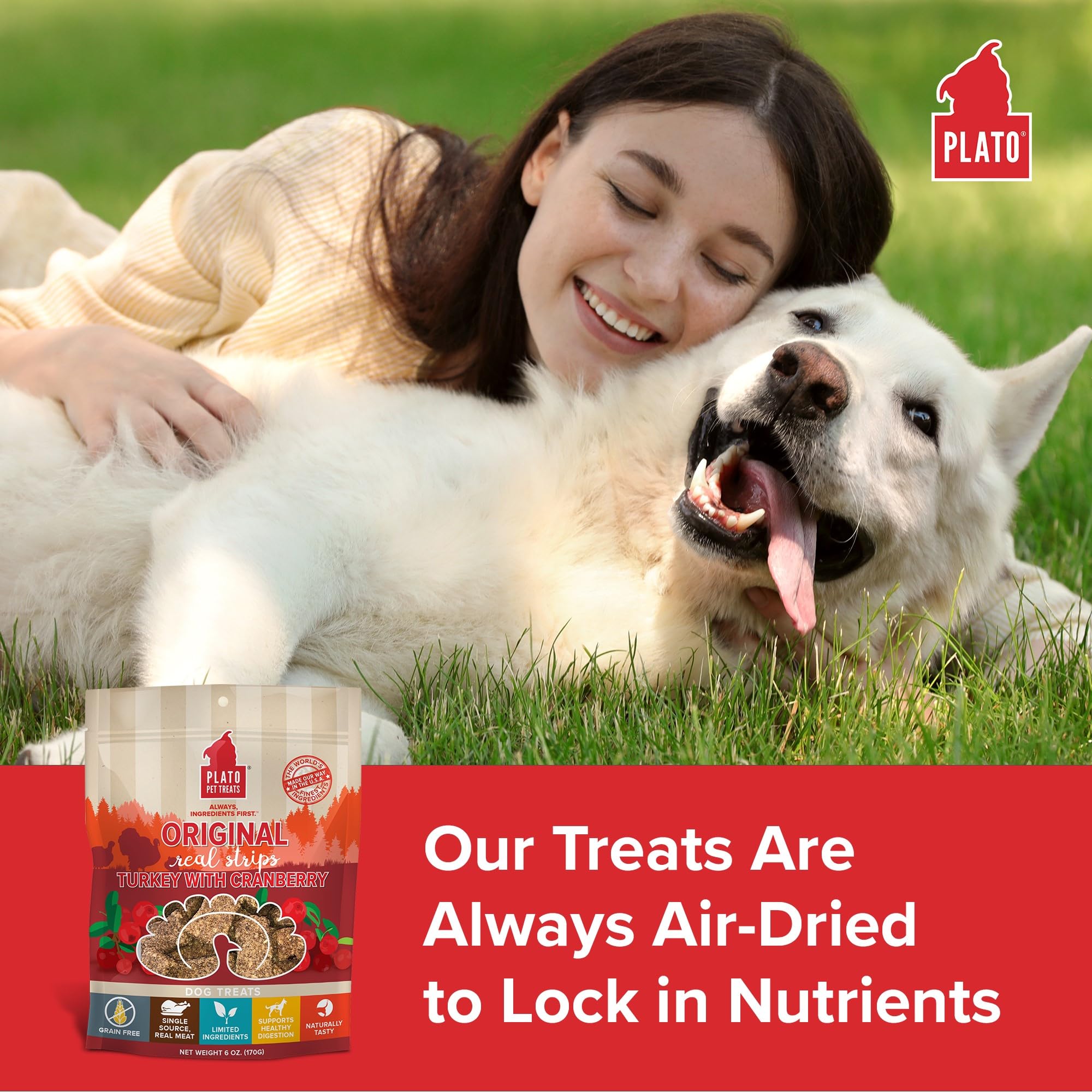 PLATO Turkey Real Strips Natural Dog Treats - Real Meat - Air Dried - Made in the USA - Turkey & Cranberry, 3 ounces